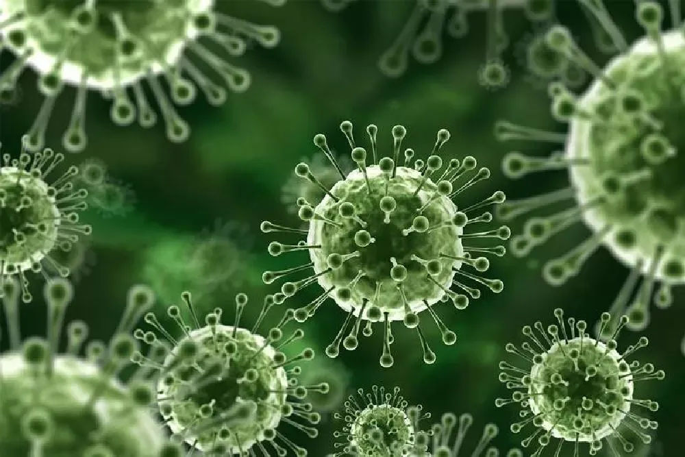 Kenali Perkembangan dan Tahap yang Dilewati Penderita HIV/AIDS ...